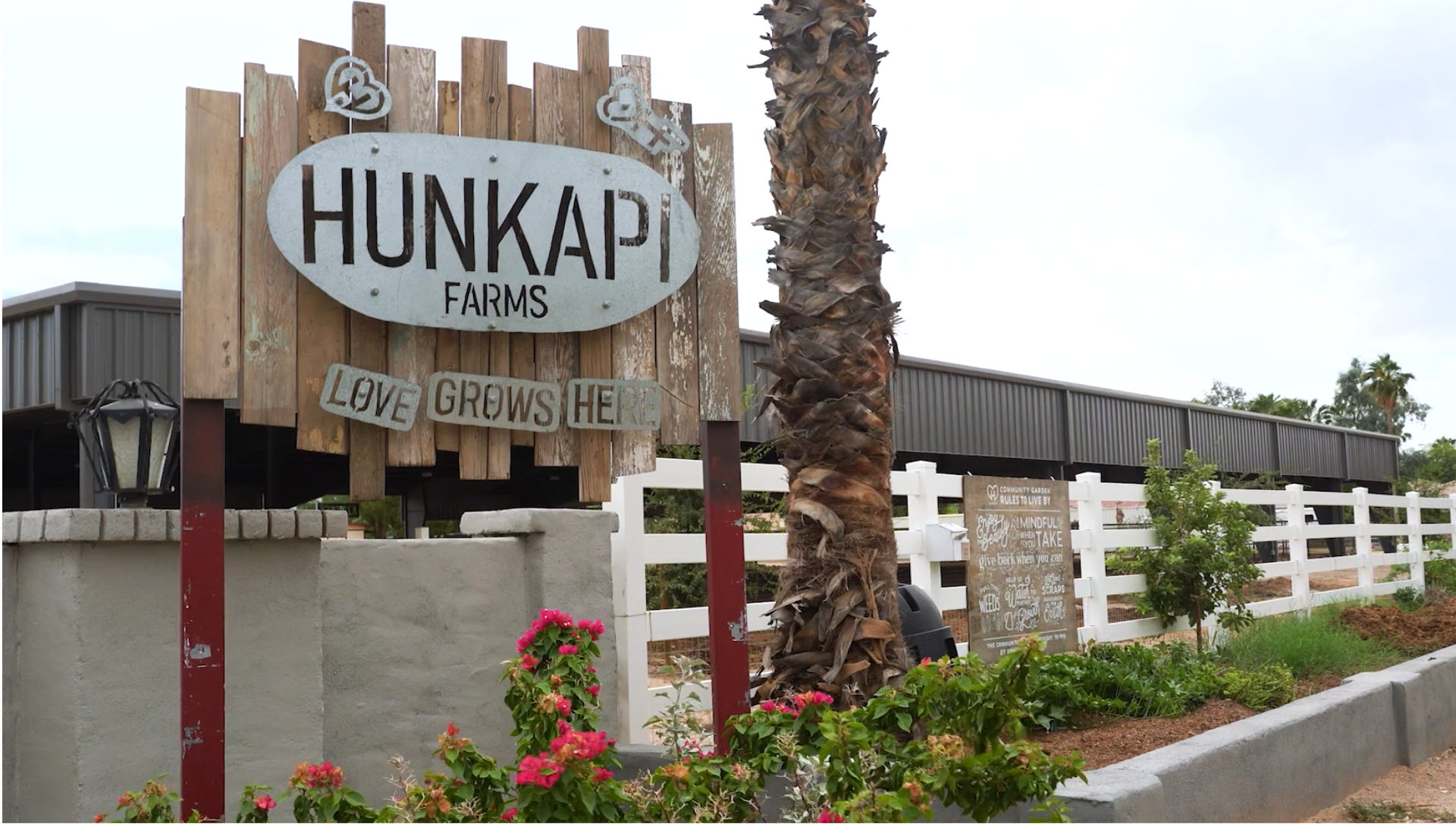 CARE [Celebrate The Art of Recovery Expo] 2021 at HUNKAPI FARMS