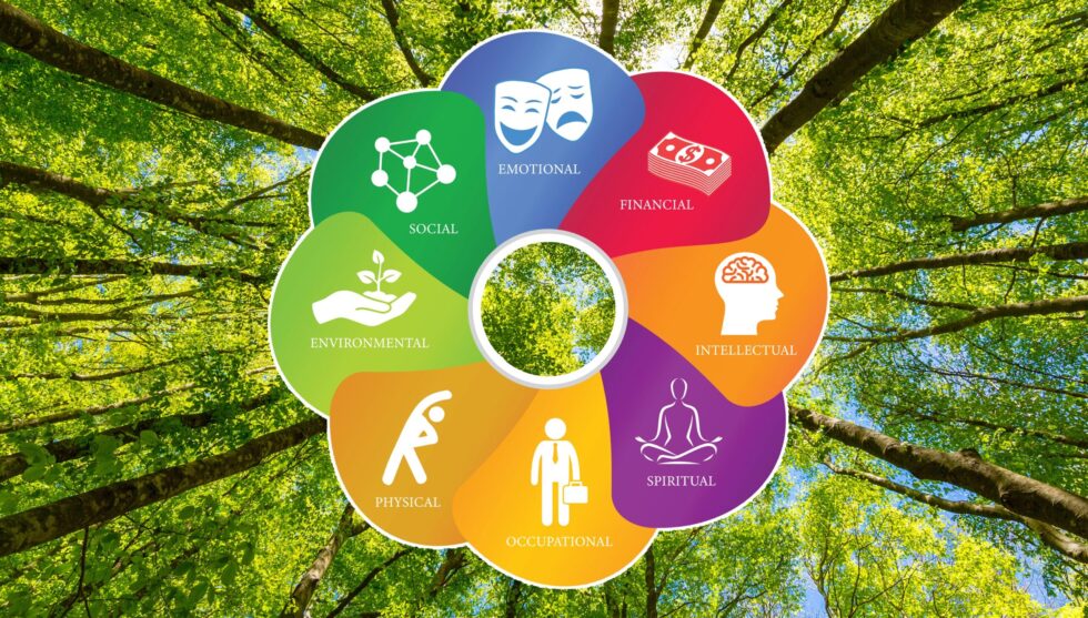 Embracing Wholeness: Understanding the Eight Dimensions of Wellness in ...